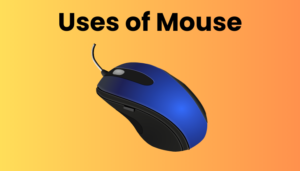 Uses of Mouse | Functions of Computer Mouse