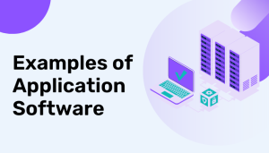 Top 10+ Examples of Application Software